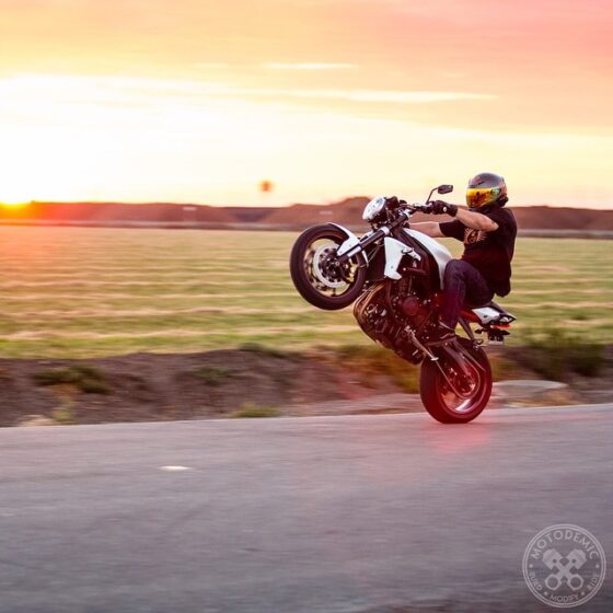 Japan XSR • MOTODEMIC