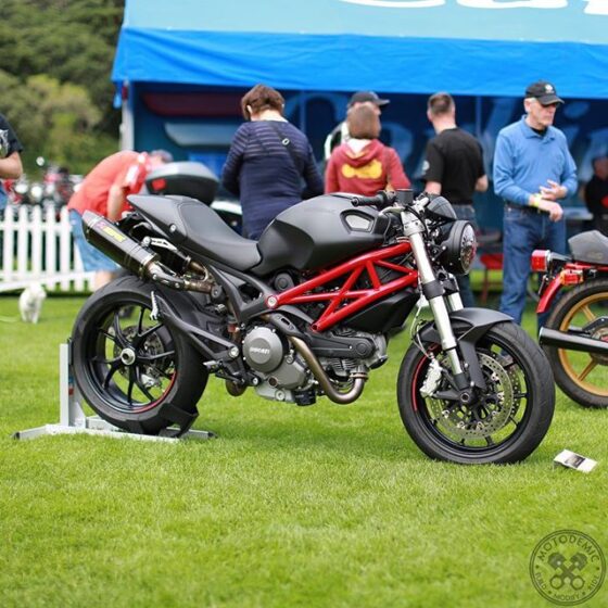 MODIFY • MOTODEMIC