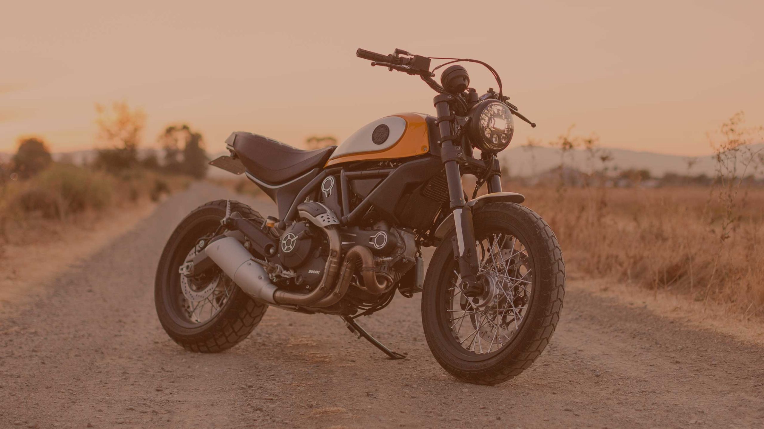 MOTODEMIC • Build • Modify • Ride